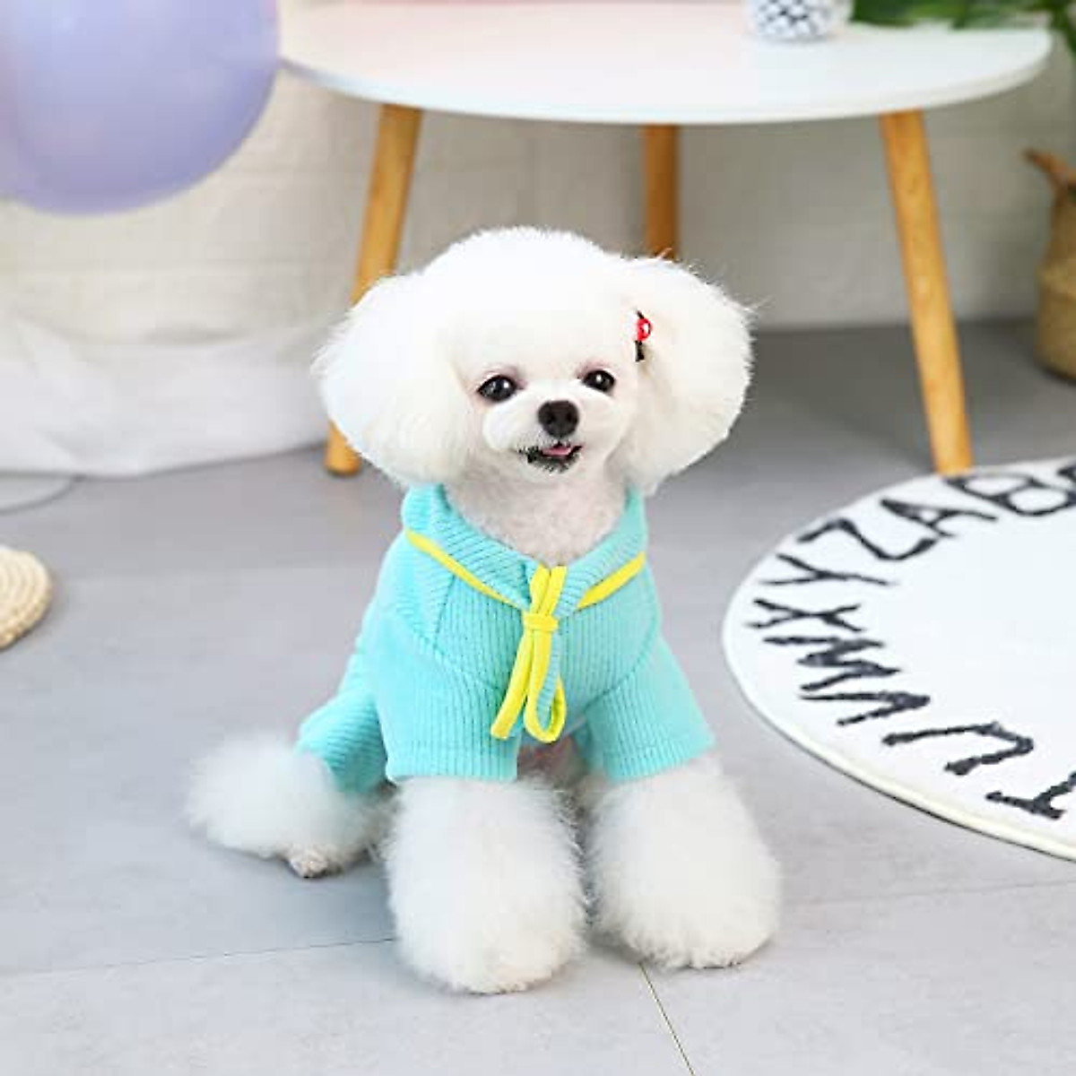 Izefia Dog Sweater Dog Clothes Autumn Winter Warm Sweat Shirt 4 Legs Jumpsuit Pajamas with Ribbon Simple Sweater for Small Dog Medium Dog Cat Green L
