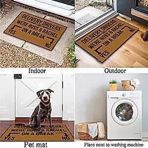 BinHang Indoor Floor Mats for Entryway, Entrance Rugs Indoor Non Slip were Ross and Rachel on a Break Doormat Rubber Backing Machine Washable 31.5X20 Inch