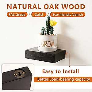 TRWISWDC Small Floating Shelves 5.5 inches - Set of 2 Natural Oak Wall Mounted Wood Shelves Mini Display Wall Shelves for Living Room Bedroom Bathroom Decor Plant Shelf, Black