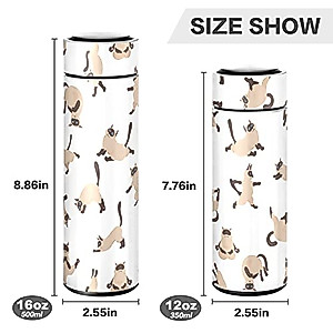 CaTaKu Funny Animals Cat Water Bottle Insulated 16 oz Stainless Steel Flask Thermos Bottle for Coffee Water Drink Reusable Wide Mouth Vacuum Travel Mug Cup