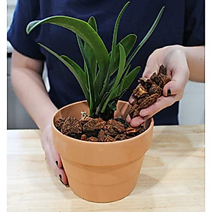 Orchid Potting Bark, Douglas Fir Bark 4qt Bag, Great for Re-Potting Orchids, Adding to Gardens, or Terrariums!