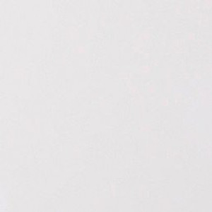 Premium Molded Wood Seat White Round Closed Front Toilet Seat for Eljer Toilets