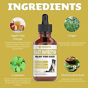 Natural Yeast Infection Relief for Dogs | Supports Healthy Itch & Inflammation Relief | Dog Ear Infection Treatment | 1 oz