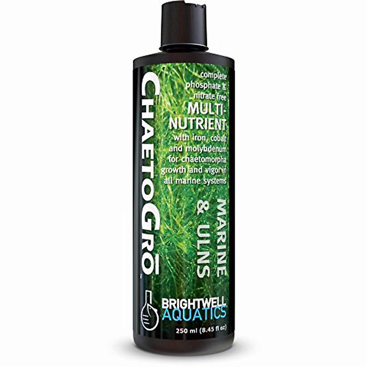 Brightwell Aquatics Chaeto GRO - Multi-Nutrient Supplement for Chaetomorpha Growth in All Marine Aquariums, 250 ML