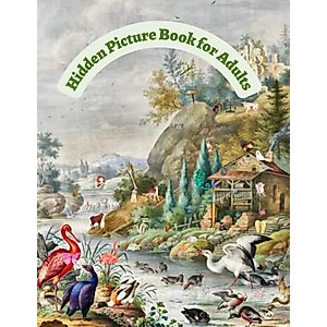 Hidden Picture Book for Adults: Seek and Find the Hidden Objects in the Pictures