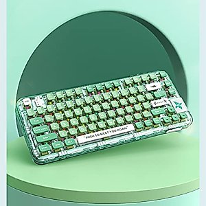 Acogedor Mechanical Keyboard RGB Backlit 80 Keys, BT 2.4ghz Wireless Type C Trimode Gaming Keyboard with Hot Swappable for Win, OS X Laptop, iOS, Android (Green)