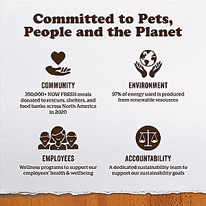 Now Fresh Wet Dog Food - 12.5 oz (12 Ct) - Grain Free Wet Dog Food -Turkey Stew with Bone Broth Recipe - for Small, Medium and Large Breed Dogs