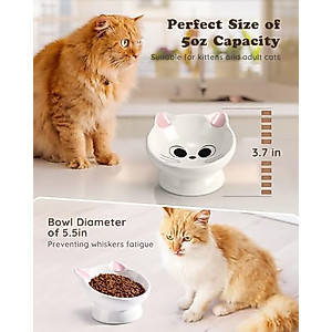 Raised Cat Food Bowl Ceramic 15° Tilted Cat Food Bowls Protect Cat's Spine Anti Vomiting Backflow Prevention Cat Bowls for Adult Cats, Kitten, and Small Dogs, Pink