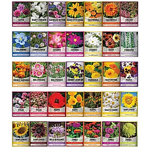Flower Seeds Packets for Planting 35 Individual Varieties Perennial, Annual, Wildflower Seeds for Planting Outdoors for Bees and Butterflies - Semillas de Flores Hermosas by Gardeners Basics.