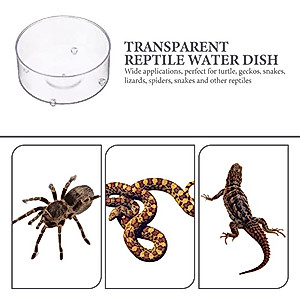 Reptile Food Bowls 30Pcs Reptile Water Bowls Reptile Feeder Food Dish Transparent Food Bowl Terrarium Bowls Worm Dish for Tortoise Lizard Bearded Dragon Frog Leopard Gecko Snake