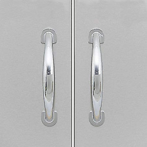 Blaze Grills Double Access Door with Paper Towel Dispenser Size: 32" W