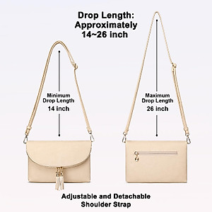 Solene Women's Envelop Clutch Crossbody Bag With Tassels Accent (WU075-Nude)