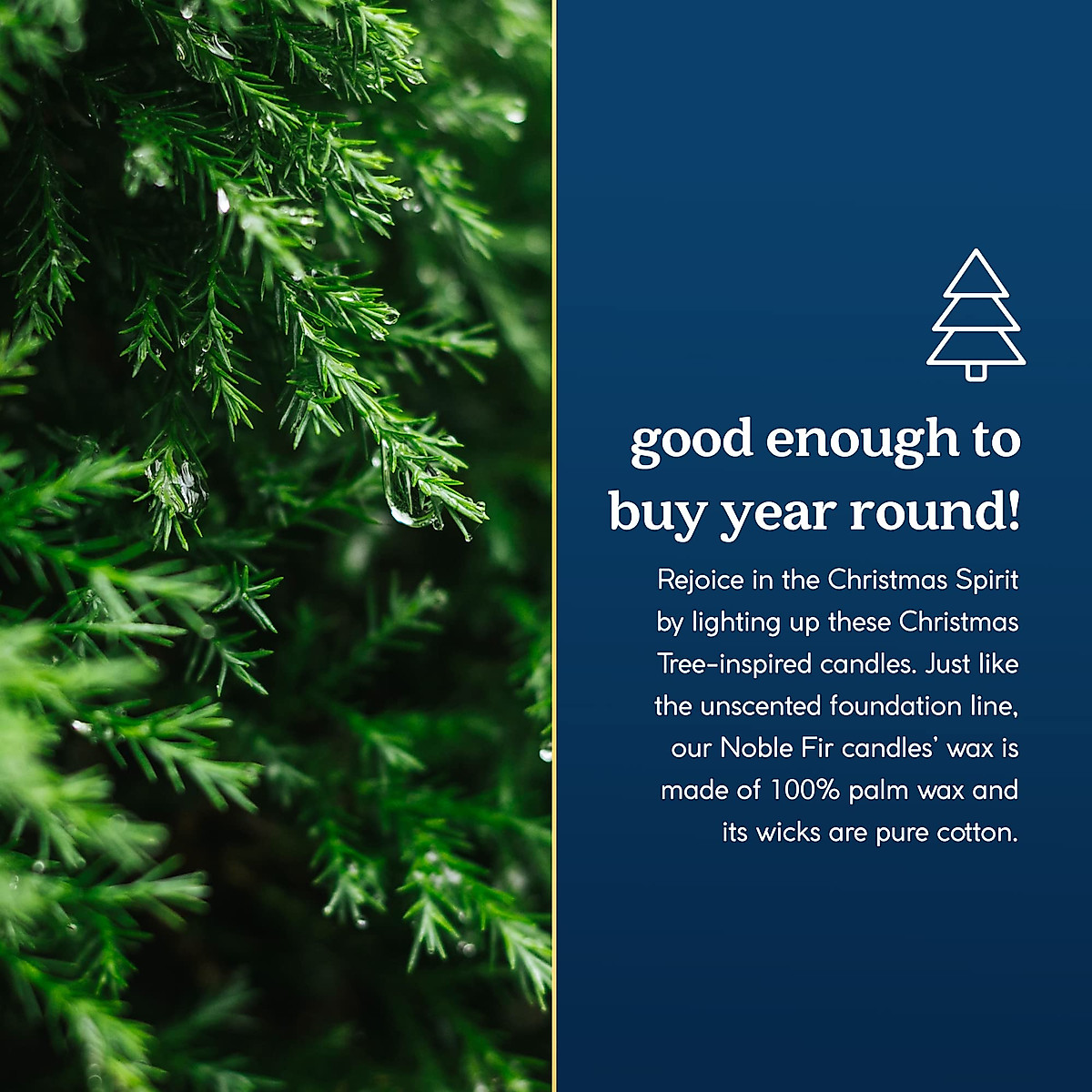 Paraffin-Free Scented Candle in Gold Tin, Vegan Palm Wax Candles, Spicy & Christmassy Scented Candles, Holiday or Birthday Gifts for Women & Men, 30-Hour Burn Time, 6 oz - GoodLight (Noble Fir)