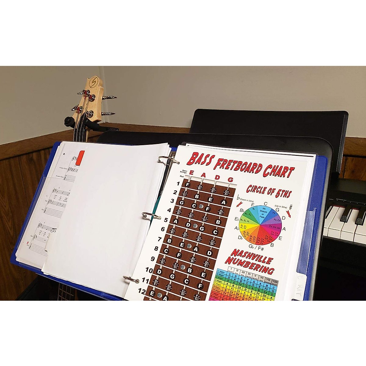Laminated 4 String Bass Fretboard Notes Chart Nashville Number System & Circle of 5ths Easy Instructional Poster for Beginner for Notebook - A New Song Music 8.5 x 11