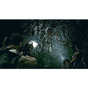 Resident Evil 5 - Standard Edition - PlayStation 4