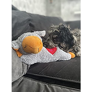 ALL FOR PAWS Heart Beat Dog Toy, Puppy Sleeping Buddy Cuddle Toy Dog Soothing Plush Toy, Crate Training Puppy Stuffed Animal Toys