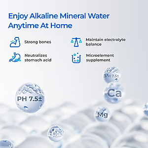 Waterdrop WD-F1A Alkaline Mineral pH+ Filter, Replacement for WD-X12-Alkaline & WD-X16 Reverse Osmosis System, 12-month Lifetime