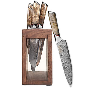Kitchen Damascus Knife Set Japanese VG-10 Steel Knives Block Set Shadow Wood Handle for Chef Knife Set High Carbon Core Stainless Steel Full Tang Kitchen Knife Set with Block (8 Piece)