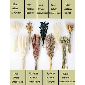 126pcs Dried Pampas Grass Decorations, Dried Flowers, Dried Bouquet in Vase, Reed Grass Bouquet for Bohemian Floral Home Wedding, Table Centerpieces, Rustic Farmhouse Decor. (Vase Not Included)