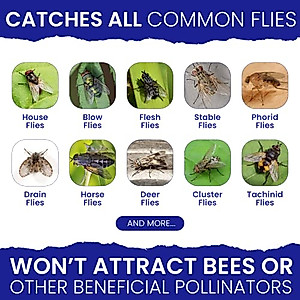 Outdoor Fly Traps. 2 Natural Pre-Baited Fly Bags - Disposable Big Bag Fly Trap Bag Fly Catchers. Stable Horse Ranch Fly Trap. Disposable Outdoor Hanging Fly Killer