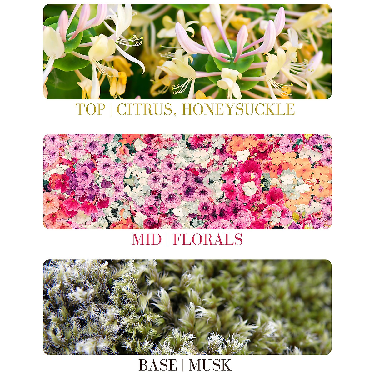 Honeysuckle Delicious Natural Pure Essential and Fragrance Oil Perfume Roll On with Organic Jojoba Oil, Eau de Toilette, Small-Batch, Alcohol Free, Handmade in California