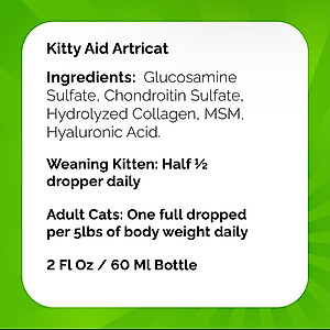 Artricat Dietary Supplement by Interfarma Corp | Cartilage Protection, Reduce Inflammation, & Joint Support for Cats | with Glucosamine, Collagen, & Hyaluronic Acid | Pineapple Flavor, Drops (2)