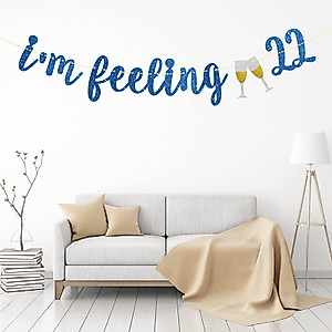 Dill-Dall I'm Feeling 22 Banner, 22nd Birthday Banner, 22nd Birthday Decorations, 22nd Birthday Backdrops ( Royal Blue )