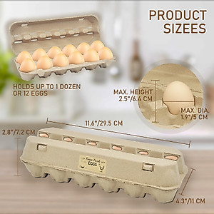 HavRixor 24 Pack Blank Egg Cartons Cheap Bulk 12 Count - Holds Up to 1 Dozen Eggs Cardboard Thickness Natural Pulp Empty Chicken Egg Boxes for Family Farm Market Fridge