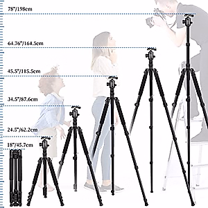 VICTIV 78" Tripod Camera Tripod, Tall Heavy Duty Tripods & 81" Monopods for DSLR Binoculars Laser Level, Professional Aluminum Tripod Stand with Ball Head, Compatiable with Canon Nikon Sony Cameras