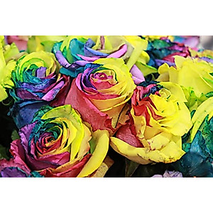 100-Colorful Rainbow Rose Seeds-Beautiful Flower-Perennial