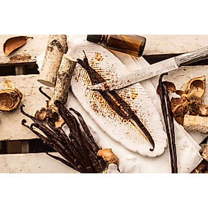 10 Organic Madagascar Vanilla Beans Whole Grade A Vanilla Pods for Vanilla Extract and Baking