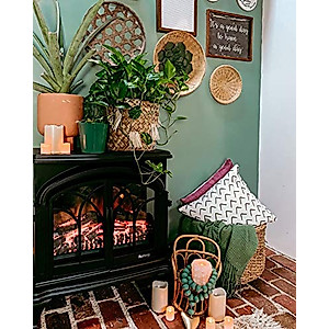 e-Flame USA 28" XL Denali Portable Freestanding Electric Fireplace Stove - 3-D Log and Fire Effect (Black)