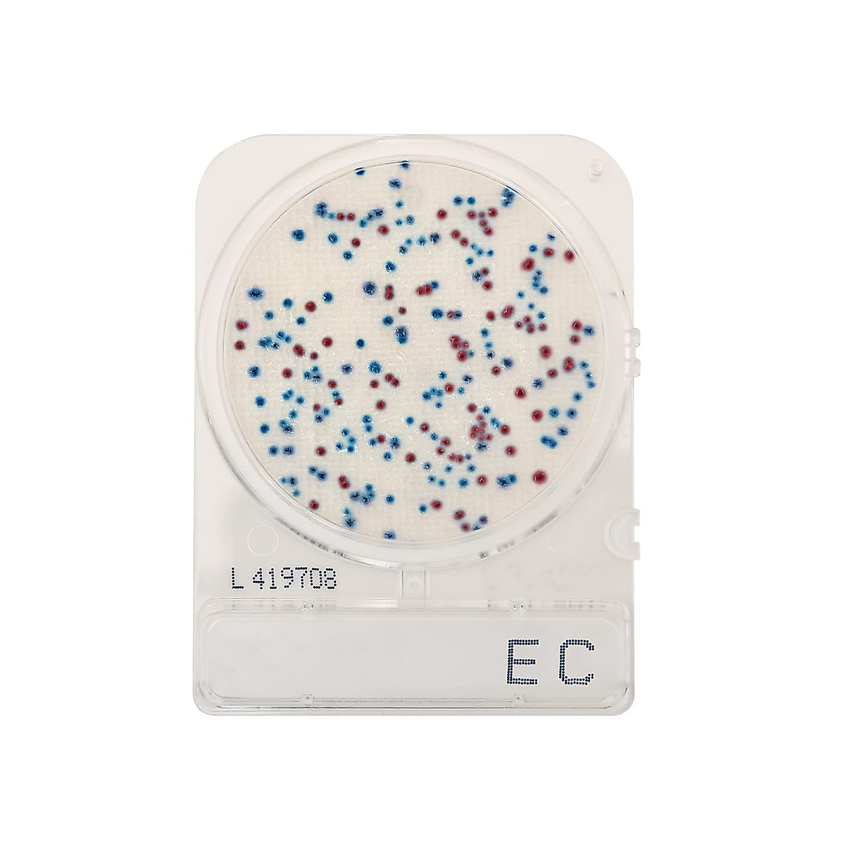 CompactDry EC (E. coli and coliforms) for Colony Counting, AOAC Approved 110402, 240 Plates/Pack, by Hardy Diagnostics
