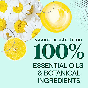 Seventh Generation All Purpose Cleaner, Lemon Chamomile Scent, Cuts Grease, 23 Fl Oz