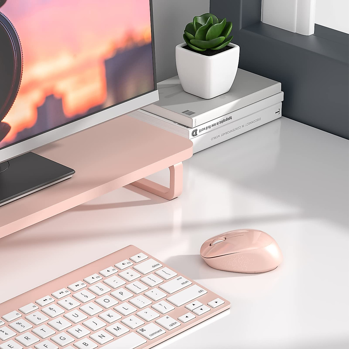 Trueque Wireless Mouse E702 2.4GHz Portable Computer Mouse with USB Receiver, Comfortable Silent Mice for Laptop, Chromebook, PC, Notebook, Desktop, Windows, Mac (Pink)