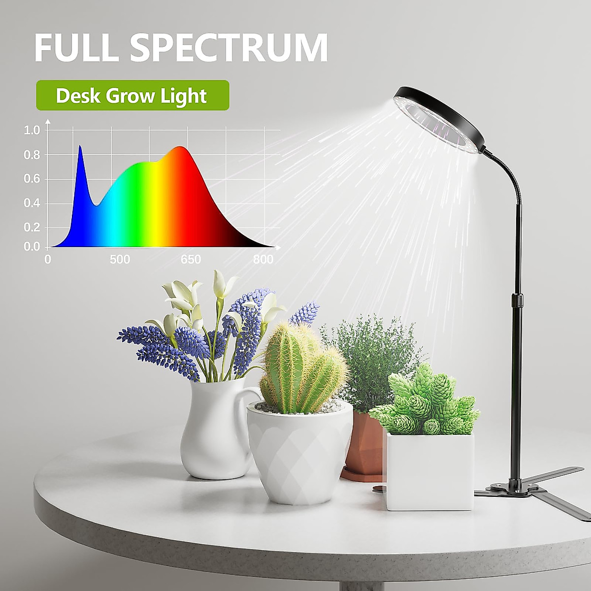 GooingTop Grow Light 6.3'' Ring,6000K 80W White Full Spectrum Gooseneck Plant Lamp for Indoor Home Office Plants Growing,Auto Timer 4 8 12 18Hrs,Height Extendable 15-36'' for Desktop Plants