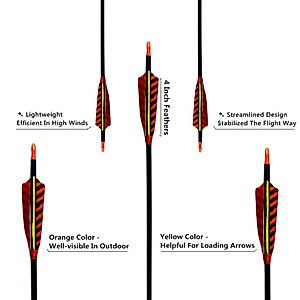 Hosolee 12 Pack Archery 500 Spine Carbon Arrows with Real Feathers and Removable Tips for Targeting Hunting Practice
