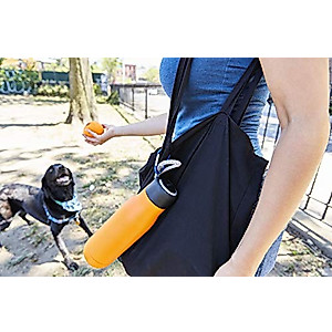 Zoku Stainless Steel Water Bottle, 18-Fluid Ounces, Orange