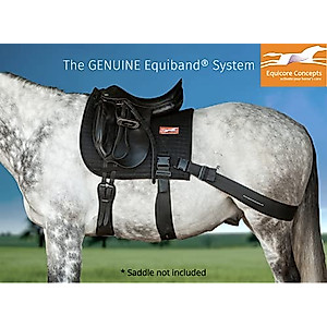 Equiband Equicore Concepts Complete System, Large Size, Oversize Horse
