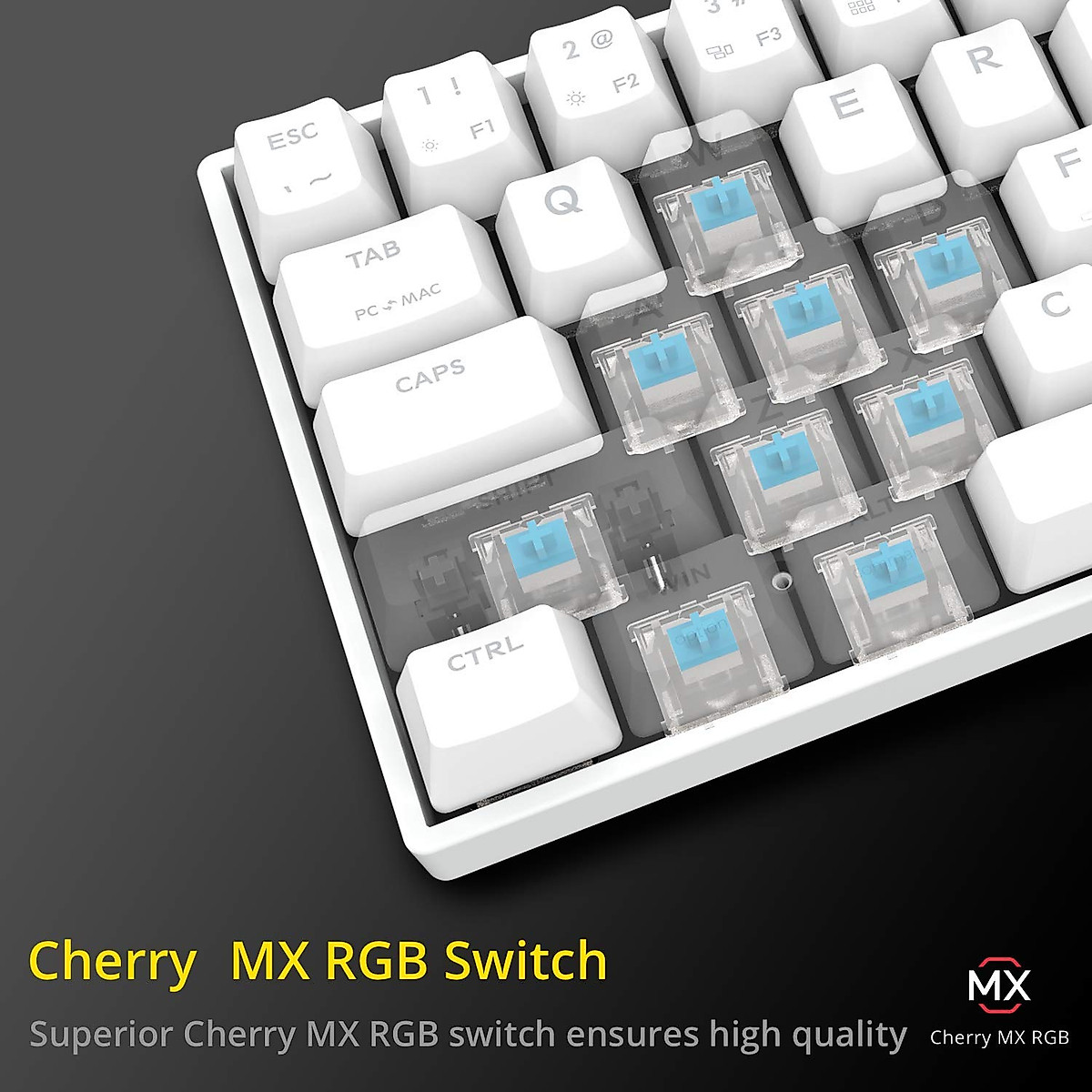 DREVO Calibur V2 TE Cherry MX Blue RGB 60% Wired Mechanical Gaming Keyboard Work for PC/Mac, 71-Key Small Compact US Layout White