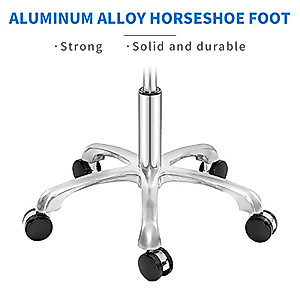 AJORAH Rolling Chair Stool with Backrest and Wheels,Adjustable Stool for Studios, Dental, Shop,Offices, Salons and Counters