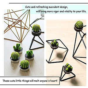 Swpeet 12Pcs Decorative Succulent Cactus Tealight Candles Kit, Cute Smokeless Succulent Plants Perfect for Candles Festival Wedding Props and House-Warming Party