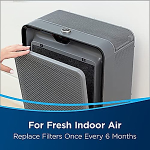 BISSELL air220 Air Purifier Replacement Pet Pro Filter Pack, 3289