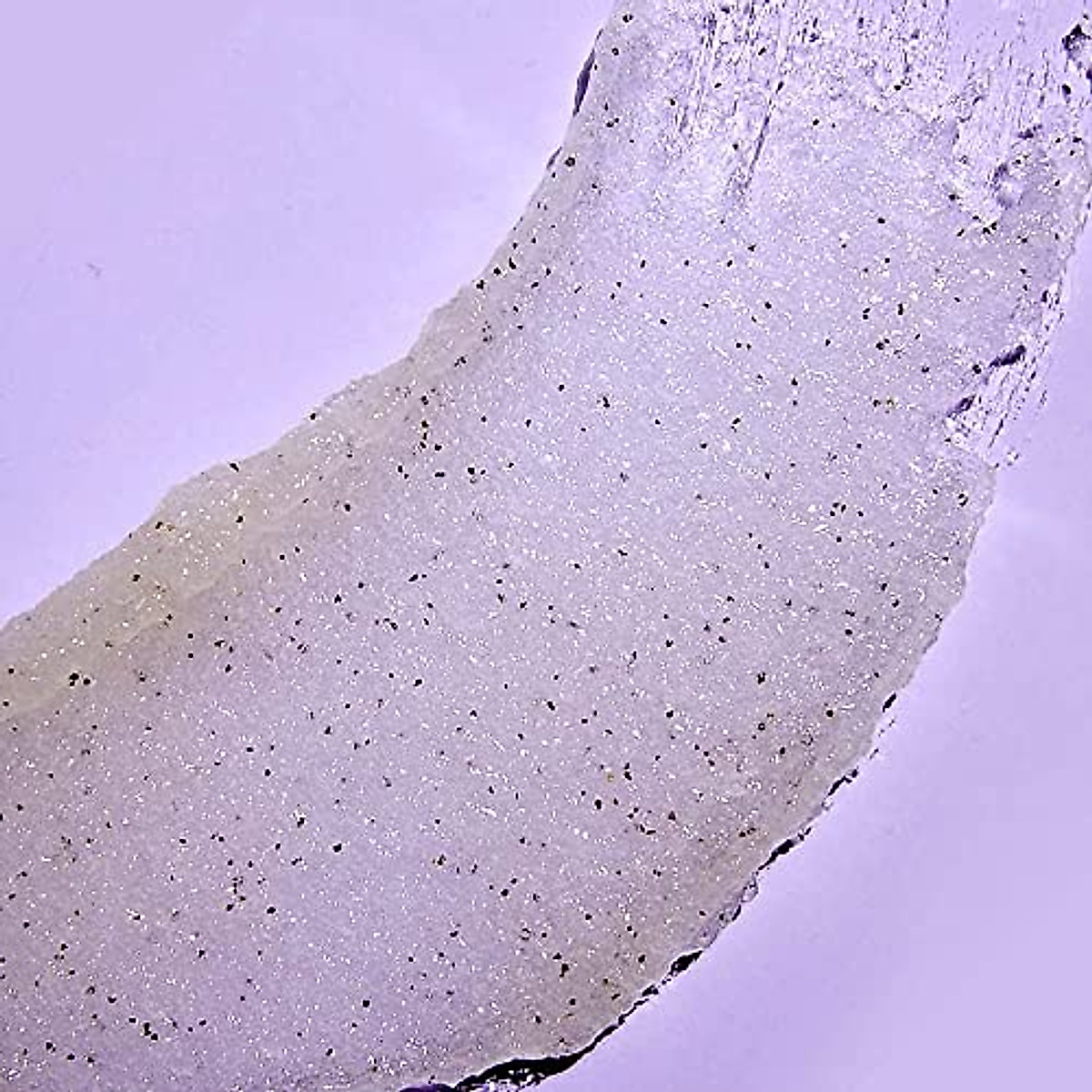 Tree Hut Tahitian Vanilla Bean Shea Exfoliating Sugar Scrub, Tahitian Vanilla Bean, 18 Oz