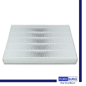 PUREBURG FP-A80UW Replacement True HEPA Filter Compatible with Sharp FZ-A80HFU Fits Sharp FP-A80UW FPA80UW PLASMACLUSTER Air Purifier,H13 Air Clean Dust,1-Pack