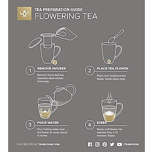 Teabloom Double-Wall Borosilicate Glass Mug with Stainless Steel Infuser and Lid – 15 OZ / 430 ML – 2 Gourmet Tea Flowers Included