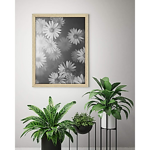 MCS Studio Gallery 18x24 Poster Frame Natural Woodgrain, Vertical & Horizontal Wall Hanging Large Picture Frame for Photos, Posters & Art Prints (1-Pack)