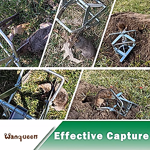 2 Pack Mole Traps That Kill Best, Scissor Mole Traps for Lawns Vole Traps Outdoor Use, Mole Trap Easy to Set Galvanized Steel Reusable Quick Capture Gopher