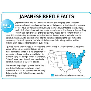 Spectracide Bag-A-Bug Japanese Beetle Trap2 (56901) (6 Pack)