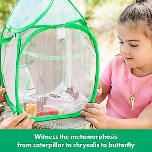 Educational Insights GeoSafari Jr. Butterfly Bungalow, Butterfly Garden Kit, Gift for Kids Ages 4+